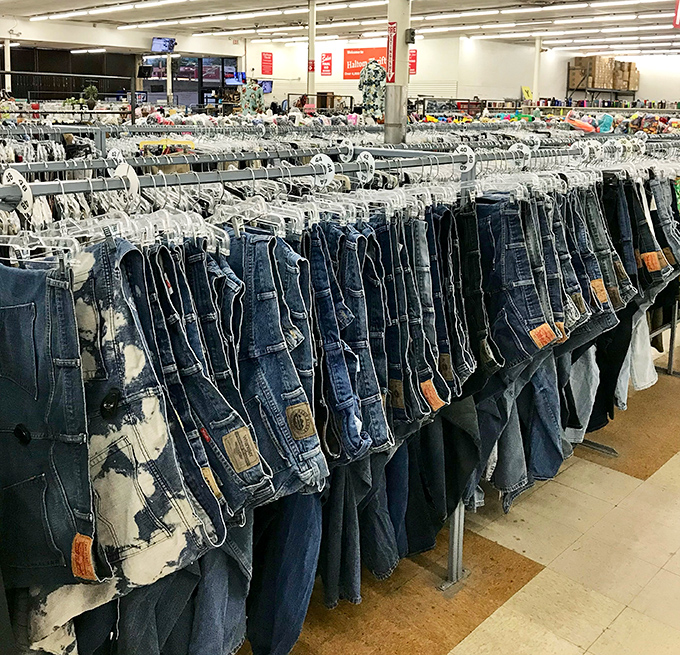 Denim democracy in action&mdash;jeans of every persuasion hanging together in peaceful harmony, waiting for their forever homes.
