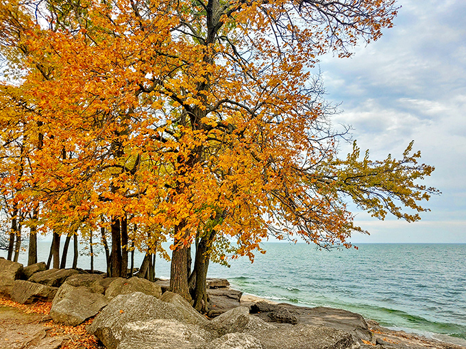 Fall's fiery display meets Lake Erie's cool blues, creating a color palette that would make even the most talented artist jealous.