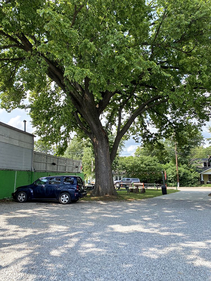 Majestic trees provide natural shade for the parking area, as if Mother Nature herself is looking out for your car while you dine.