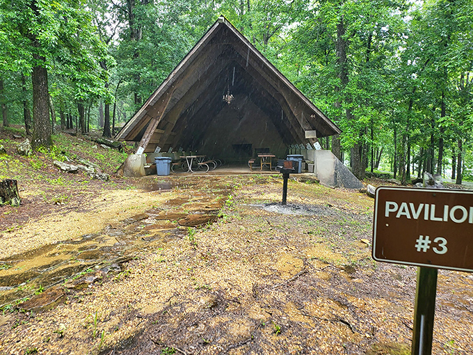 Pavilion #3 stands ready for family reunions where three generations argue about potato salad recipes while kids chase lightning bugs.