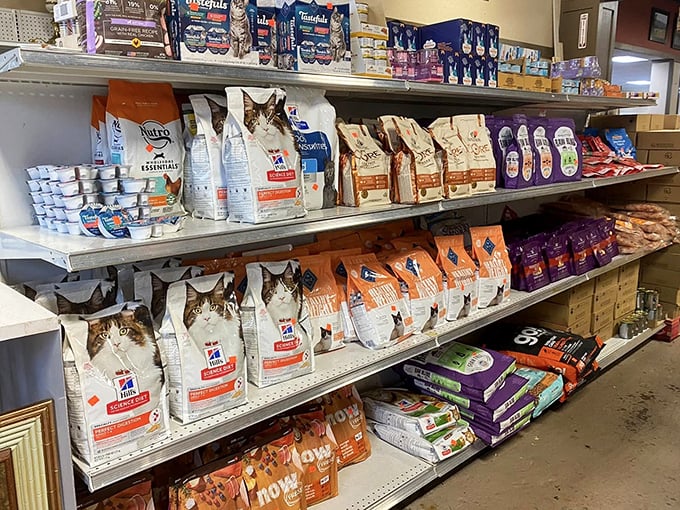 Even Fido and Fluffy get budget-friendly options with pet supplies that won't have you choosing between kibble and your coffee habit.