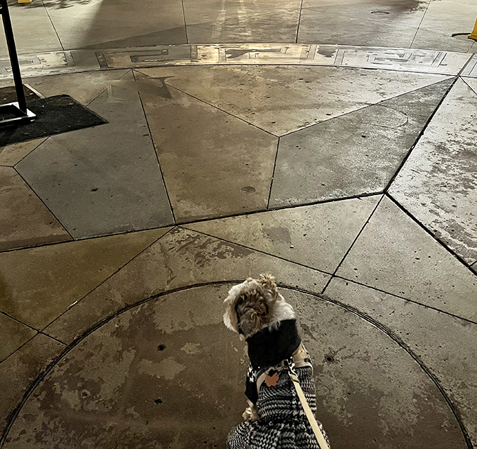 Even the four-legged fashionistas find Carlsbad Premium Outlets worth a visit, though they're more interested in the walking than the shopping.