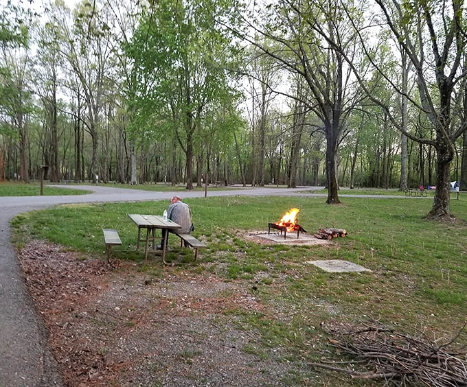 Campfire simplicity: where a dancing flame, a wooden bench, and absolutely no Wi-Fi somehow become the entertainment center you didn't know you needed.