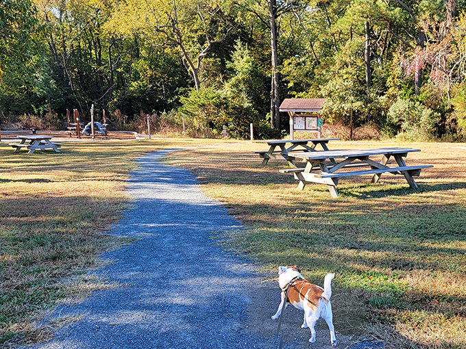 Picnic areas scattered across rolling green lawns invite families to slow down and savor.