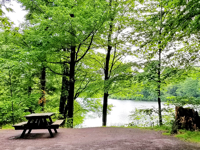 Lakeside dining with a view that puts five-star restaurants to shame. This picnic spot serves up serenity with a side of spectacular.