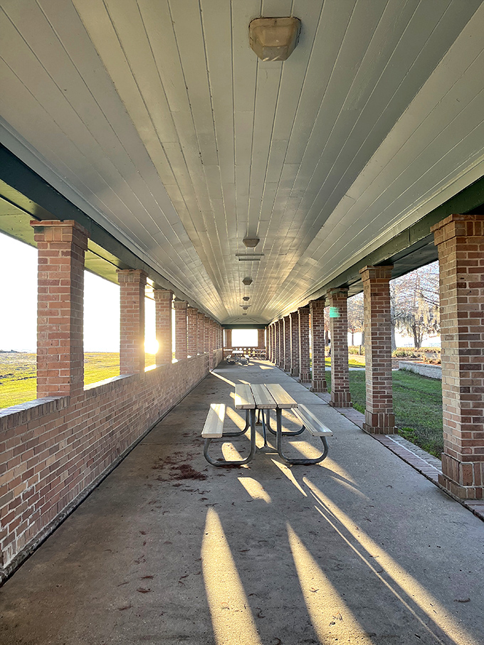 Sunshine streaming through columns creates nature's own light show. The perfect spot for a picnic when your sandwich deserves a dramatic backdrop.