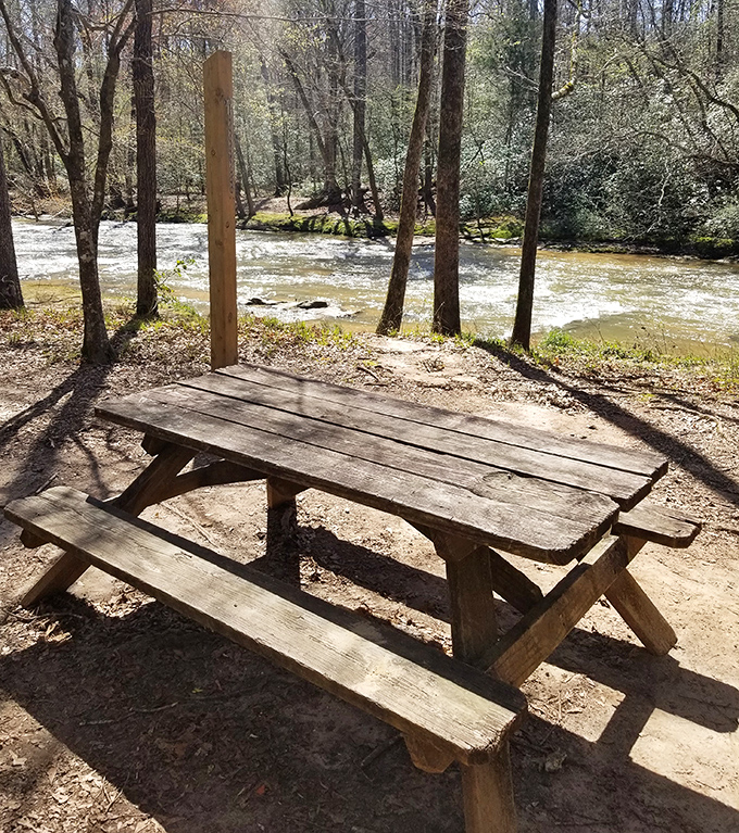 Riverside dining with a view that makes even a simple sandwich taste like it deserves a Michelin star.