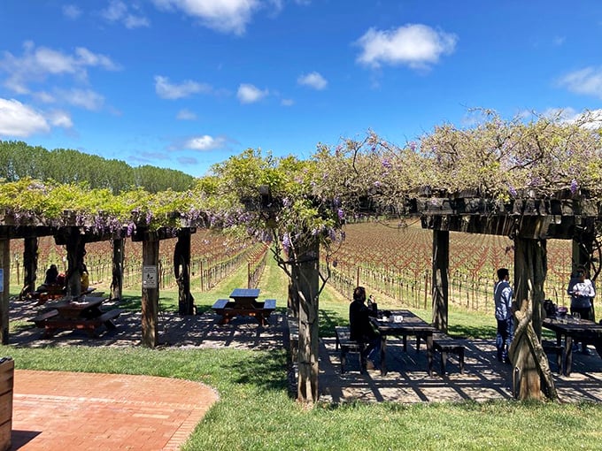 Picnic tables beneath flowering trellises &ndash; where "lunch with a view" becomes "why would we ever leave?"
