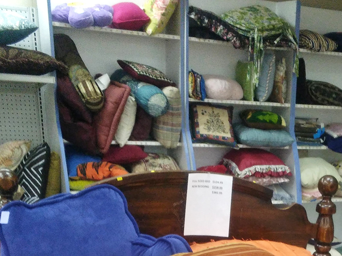 The pillow section&mdash;a textile rainbow of comfort possibilities. From geometric patterns to floral designs, each offers the promise of a refreshed living room.