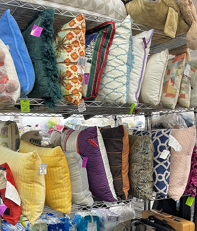 Pillow paradise—where you can completely reinvent your couch's personality for less than the cost of a casual dinner out.