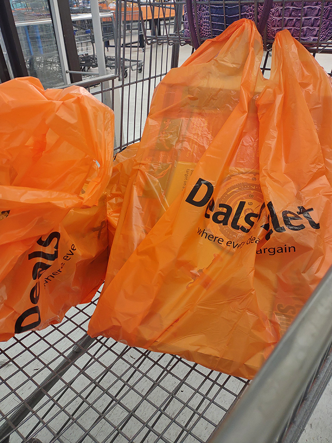 Those bright orange bags are the universal symbol of "I just scored big time" in the bargain hunter's secret language.