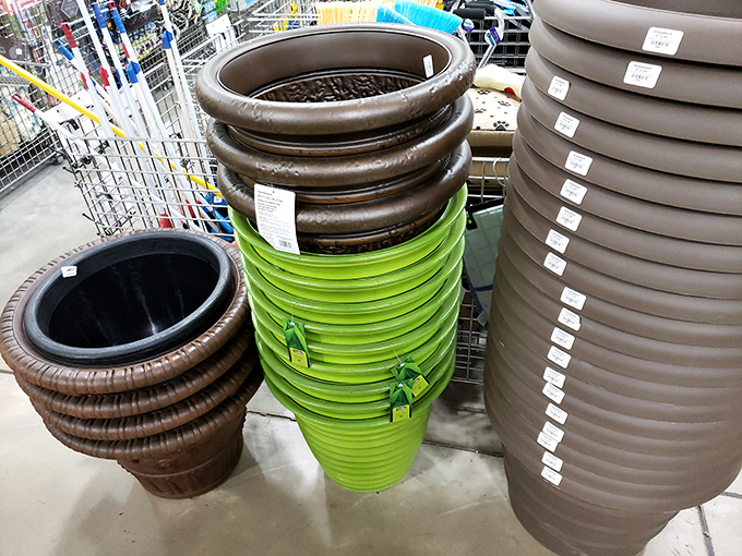 Garden pot nirvana in three earthy colors. Your plants don't know they're moving into pre-owned real estate, and they wouldn't care anyway.