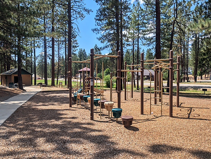 The local playground sits empty, waiting for children to discover that climbing equipment beats scrolling equipment any day.