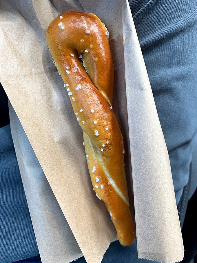 The classic pretzel twist in its purest form&mdash;a testament to the beauty of simplicity and the perfect companion for Pittsburgh explorations.