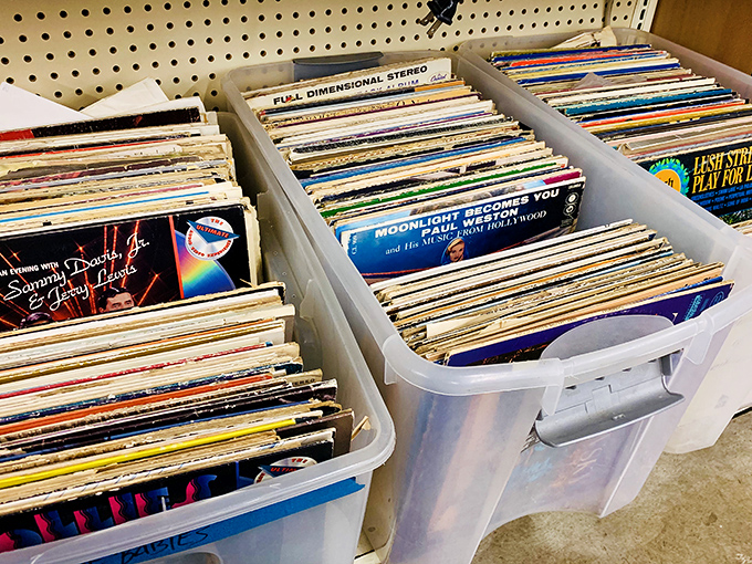 Vinyl enthusiasts, rejoice! These record bins hold forgotten soundtracks to decades past&mdash;musical time machines at bargain basement prices.
