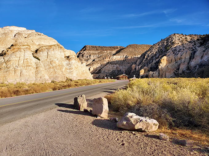 The road to Kershaw-Ryan cuts through geological wonders. Driving here is like flipping through Earth's autobiography, one layer at a time.
