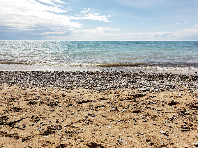 Nature's mosaic of sand and stone. Each pebble tells a geological story millions of years in the making.