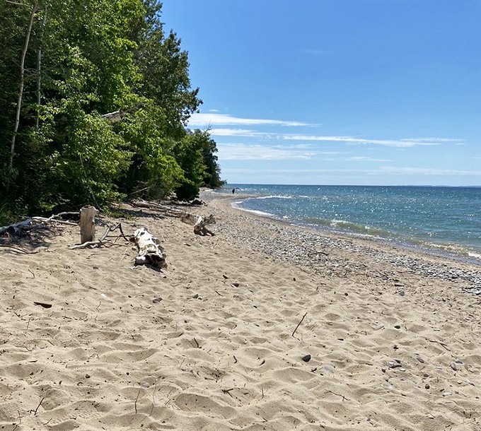 Driftwood sentinels guard this stretch of paradise, where footprints in the sand are the only acceptable form of graffiti.