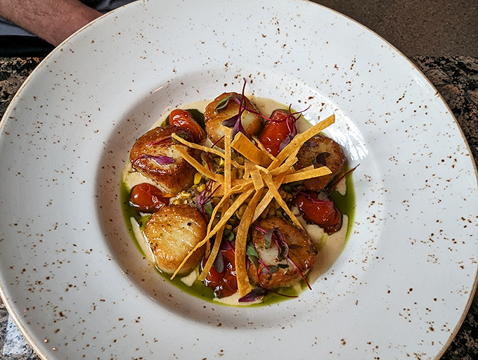 Perfectly seared scallops arranged like edible art, proving that sometimes the most beautiful plates come from the most unassuming places.