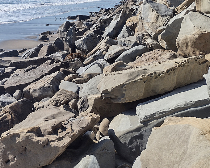 These coastal rocks have been sculpted by waves with the patience of millennia and the vision of a modern artist.