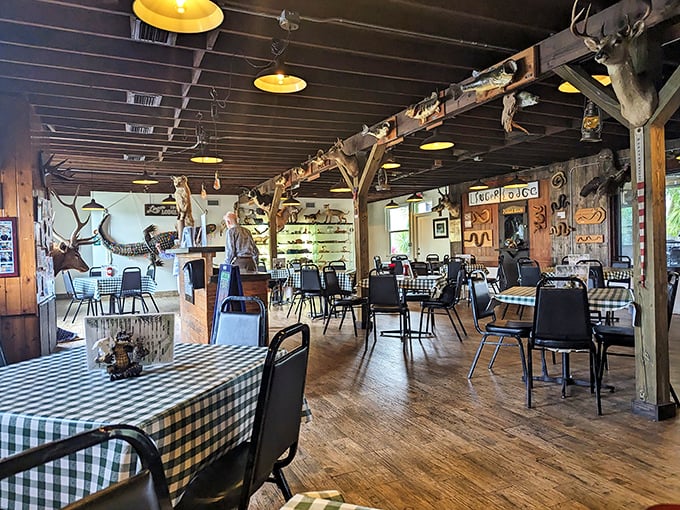 The dining room's wooden beams provide convenient perches for the restaurant's permanent residents. They're just hanging around for dinner.