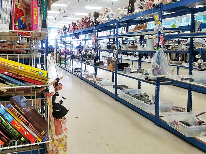 Shelf after shelf of possibilities where someone's discarded knick-knacks await the perfect spot on your mantel. Treasure hunting at its finest! 