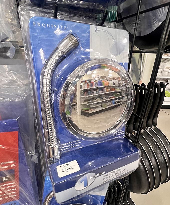 Even practical necessities get the thrift store treatment&mdash;this packaged showerhead proves one shopper's renovation leftover becomes another's bathroom upgrade.
