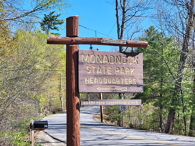 The wooden sign that promises adventure ahead. Monadnock State Park: where cell service fades but life signals strengthen dramatically.