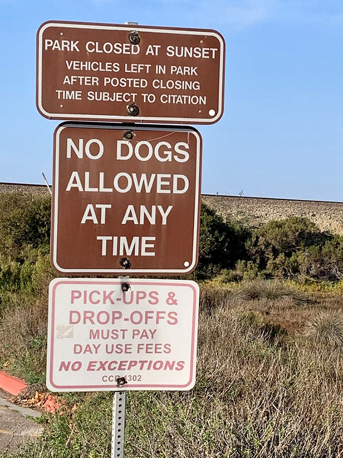 More signs than a zodiac chart, all essentially translating to "Please don't ruin this beautiful place for everyone else."
