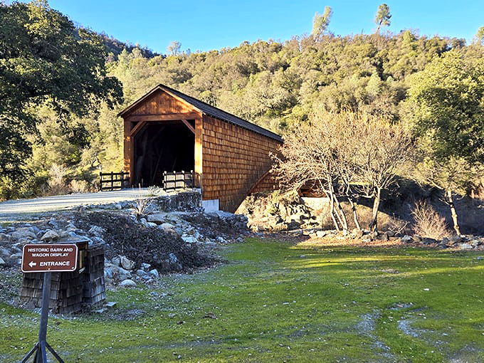 Morning light bathes the bridge in golden hues, creating a moment of California magic that no filter could possibly improve upon.