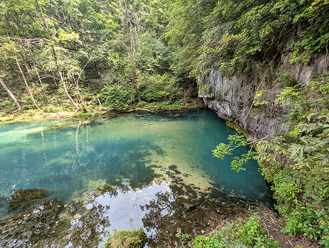 The spring's impossible blue-green clarity looks like someone dropped food coloring in the water. Mother Nature showing off again!