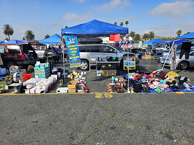 Vendors create temporary neighborhoods of commerce, where haggling is an art form and unexpected finds await around every corner.