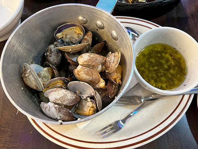 Steamed clams swimming in herb-infused broth—a dish so good you'll be plotting ways to drink the remaining liquid when no one's looking.