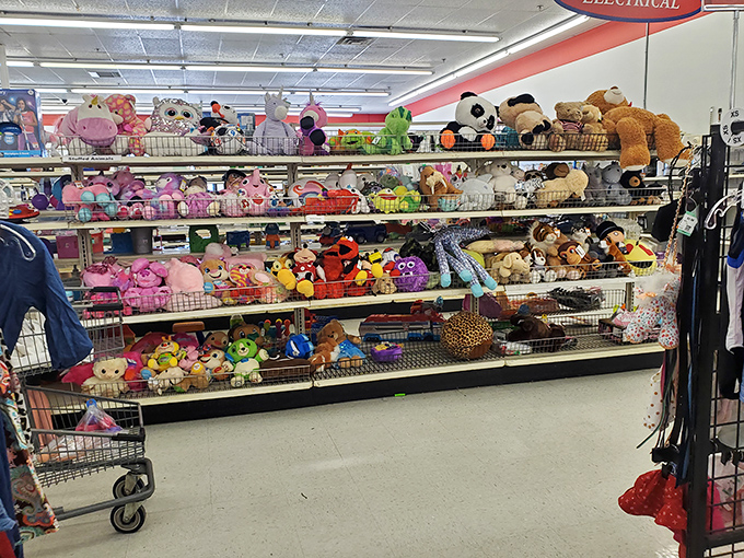 Stuffed animals congregating like they're planning a takeover, each one softer than your couch after Thanksgiving dinner.