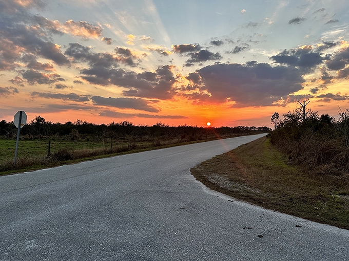 Sunset over the scrubland &ndash; when Florida decides to show off its painterly skills with a palette of oranges and purples.