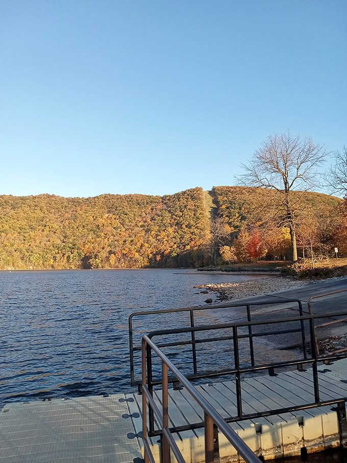 Autumn paints Raystown Lake in warm hues as mountains embrace the shoreline. Screensaver-worthy views that no filter could improve.