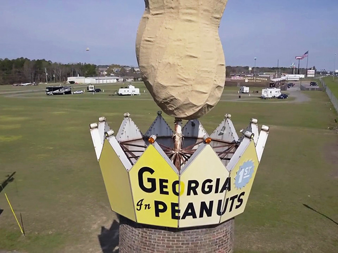 A bird's-eye view reveals the engineering marvel of mounting a massive peanut atop a crown. Structural integrity has never been so deliciously quirky.