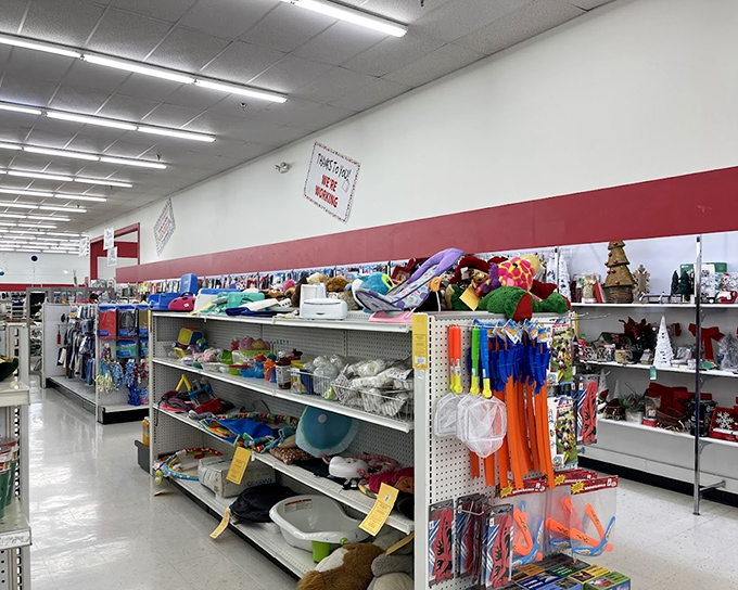 The furniture section resembles a living room lineup where desks, chairs, and tables wait hopefully for their second chance at domestic glory.