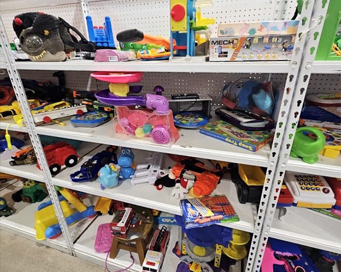 Plastic playthings in primary colors promise hours of imagination. That dinosaur slide might be the backyard hero your toddler never knew they needed.