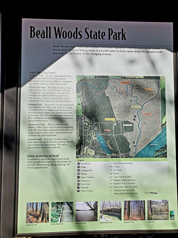This trail map doesn't just show paths &ndash; it reveals a treasure map to some of Illinois' most magnificent old-growth forest.