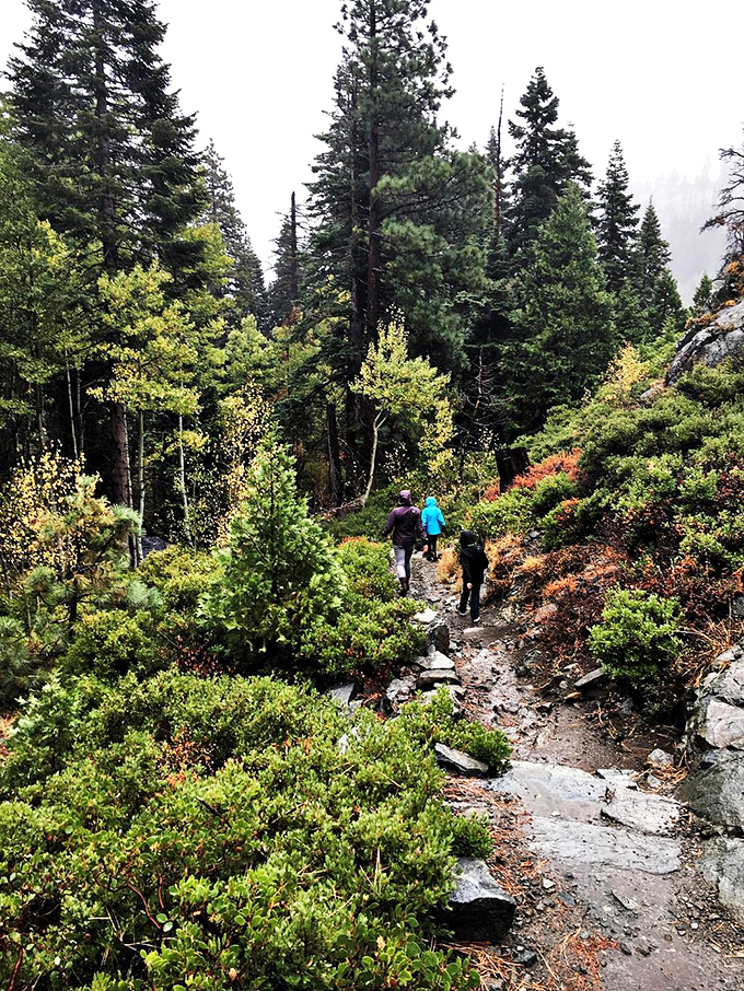The trail to Eagle Falls: where strangers become temporary hiking buddies united by the universal language of "wow, look at that!"