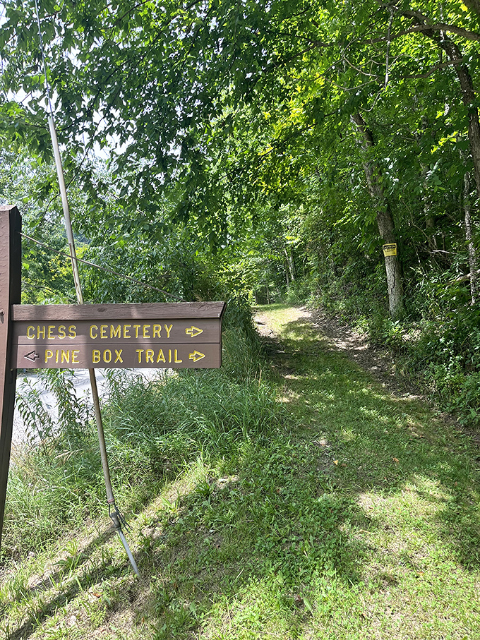 Trail markers point to Chess Cemetery and Pine Box Trail&mdash;hiking options with names straight out of an Appalachian mystery novel.