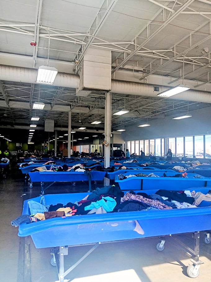 A sea of blue bins stretches to the horizon under industrial lighting, creating the distinctive landscape of America's most adventurous shopping experience.