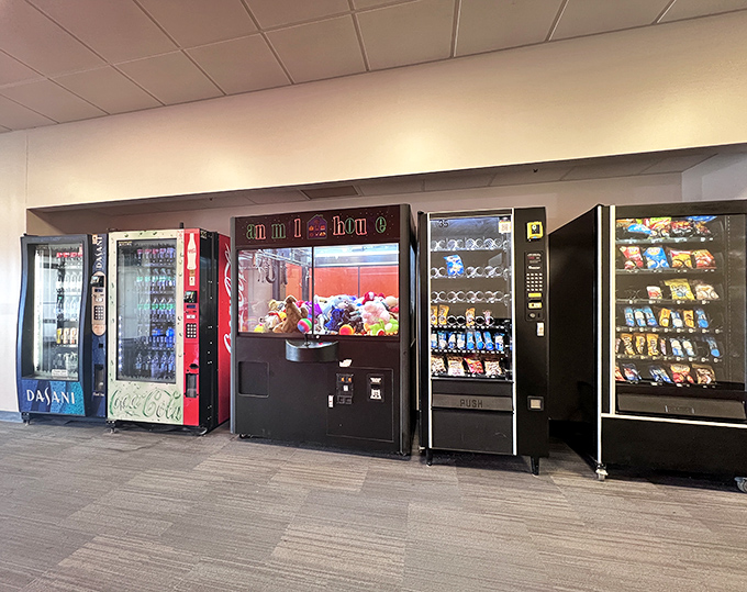 The vending machine lineup&mdash;retail's version of a pit stop. Fueling shoppers with caffeine and snacks for the next round of discount hunting.