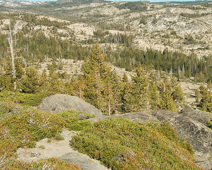 A tapestry of wilderness that makes your 4K television look obsolete. Some views simply refuse to be captured by technology.