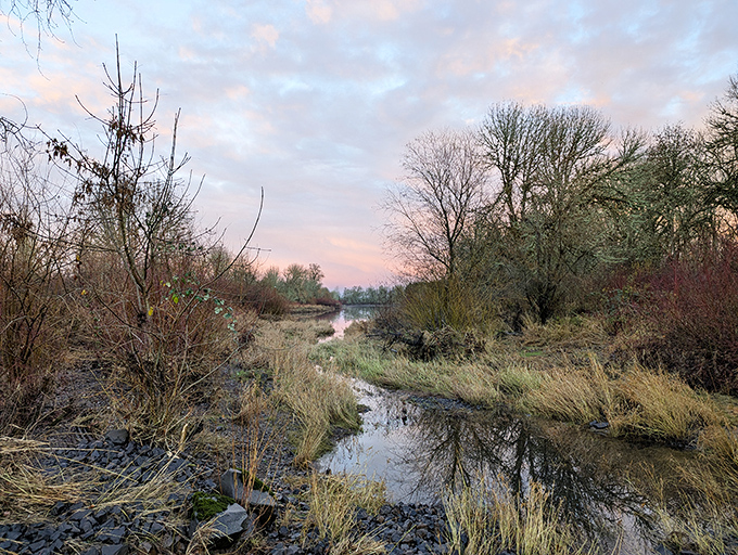 Twilight transforms ordinary wetlands into a watercolor masterpiece, where reflections double the beauty and mosquitoes double the adventure.