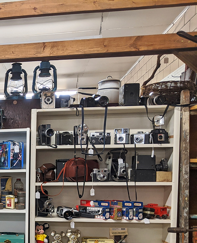 A shrine to photography's evolution, where each camera represents thousands of memories captured before the era of unlimited digital storage.