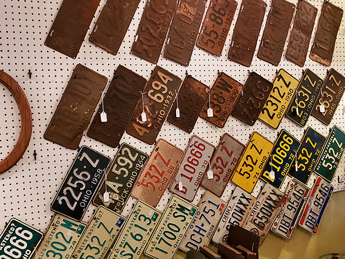 License plates from Ohio and beyond create a colorful timeline of road trips, moves, and adventures now frozen in metal.