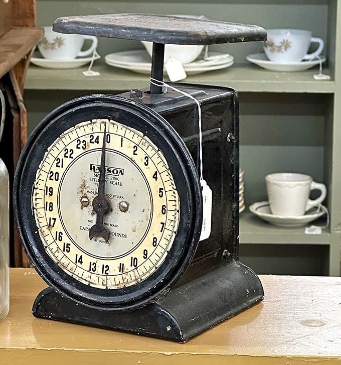 This utility scale has weighed everything from yesterday's mail to Grandma's secret recipe ingredients with equal precision.