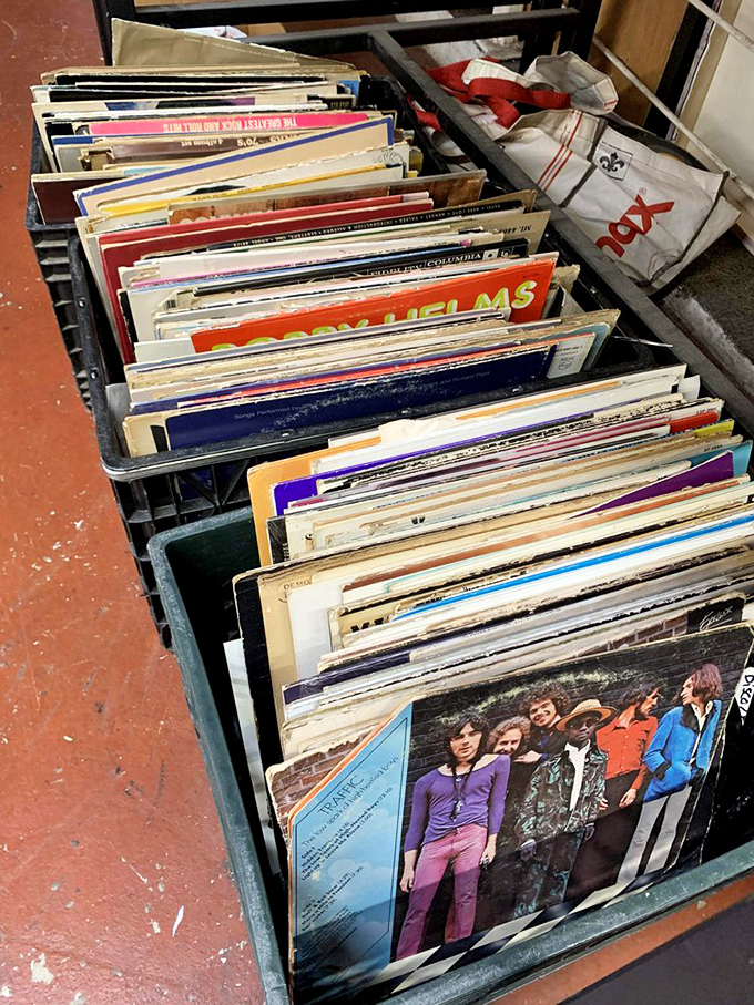 Vinyl enthusiasts, prepare to lose track of time! These record crates hold forgotten classics and guilty pleasures waiting to spin again.